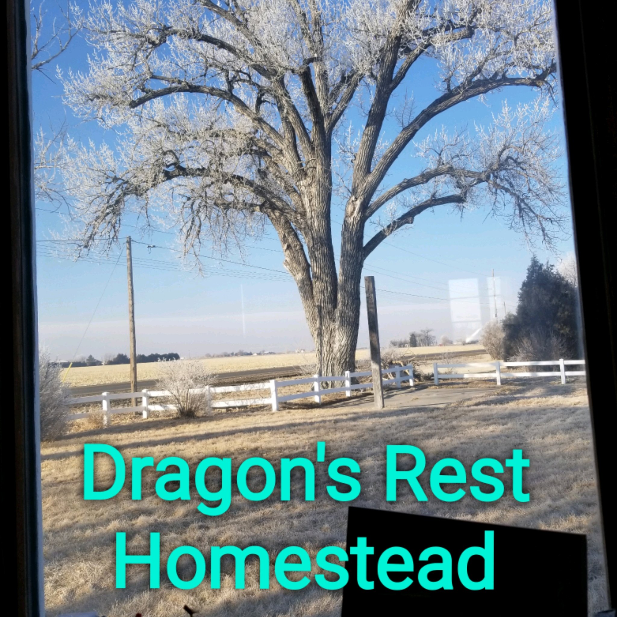 On the Homestead – Dragon's Rest Homestead